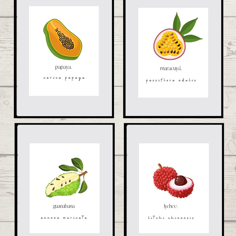 Fruit Art Prints - Etsy