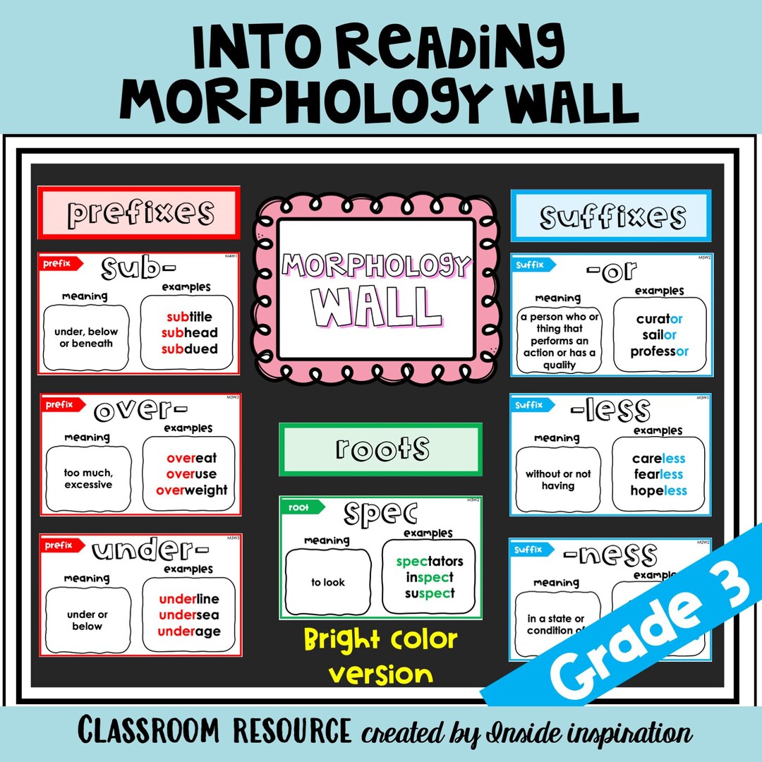 Into Reading Morphology Wall Bulletin Board Display- 3rd Grade Module 1 ...
