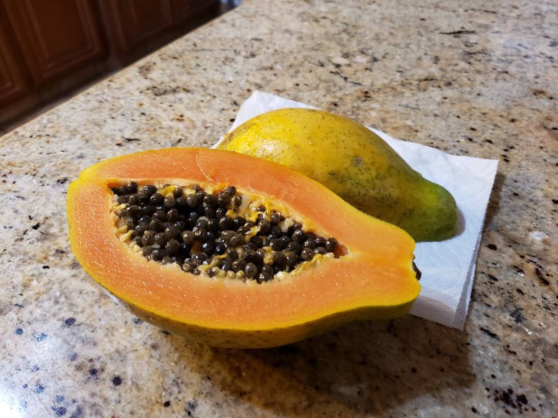 Solo Papaya Seeds Strawberry Sunrise Papaya Seeds Giant | Etsy