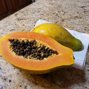 Solo Papaya Seeds, Strawberry Sunrise Papaya Seeds, Giant Colombian ...