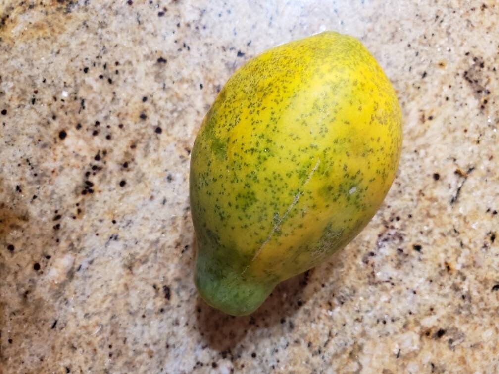 Solo Papaya Seeds, Strawberry Sunrise Papaya Seeds, Giant Colombian ...