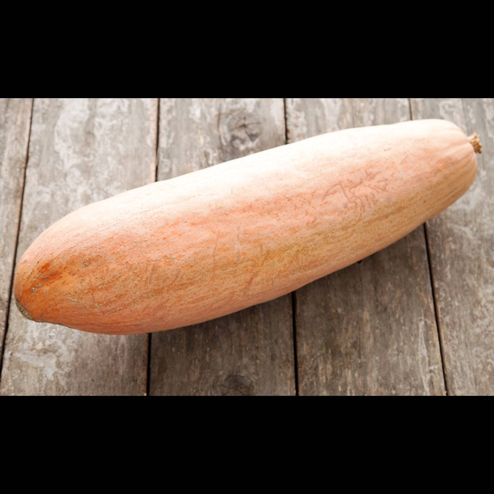 Pink Banana Squash Seeds, Garden Vegetable, Winter Pumpkin, Summer ...