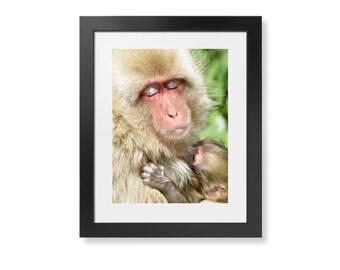 Suki Snow Monkey Toys & Games Toys Stuffed Animals & Plushies etna.com.pe