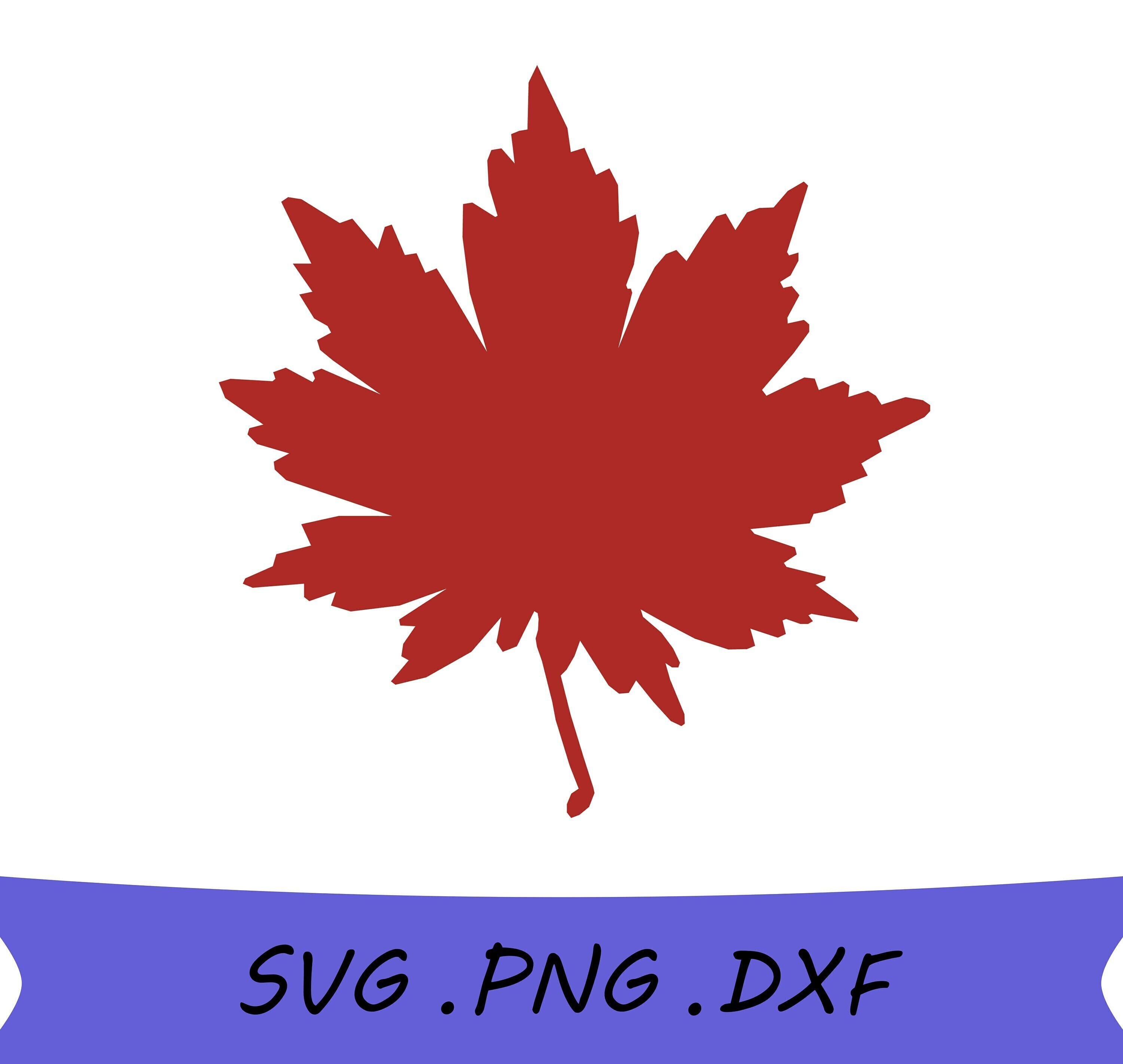 Fall Leaf SVG Fall Leaf PNG Fall Leaf DXF Fall Leaves Svg - Etsy