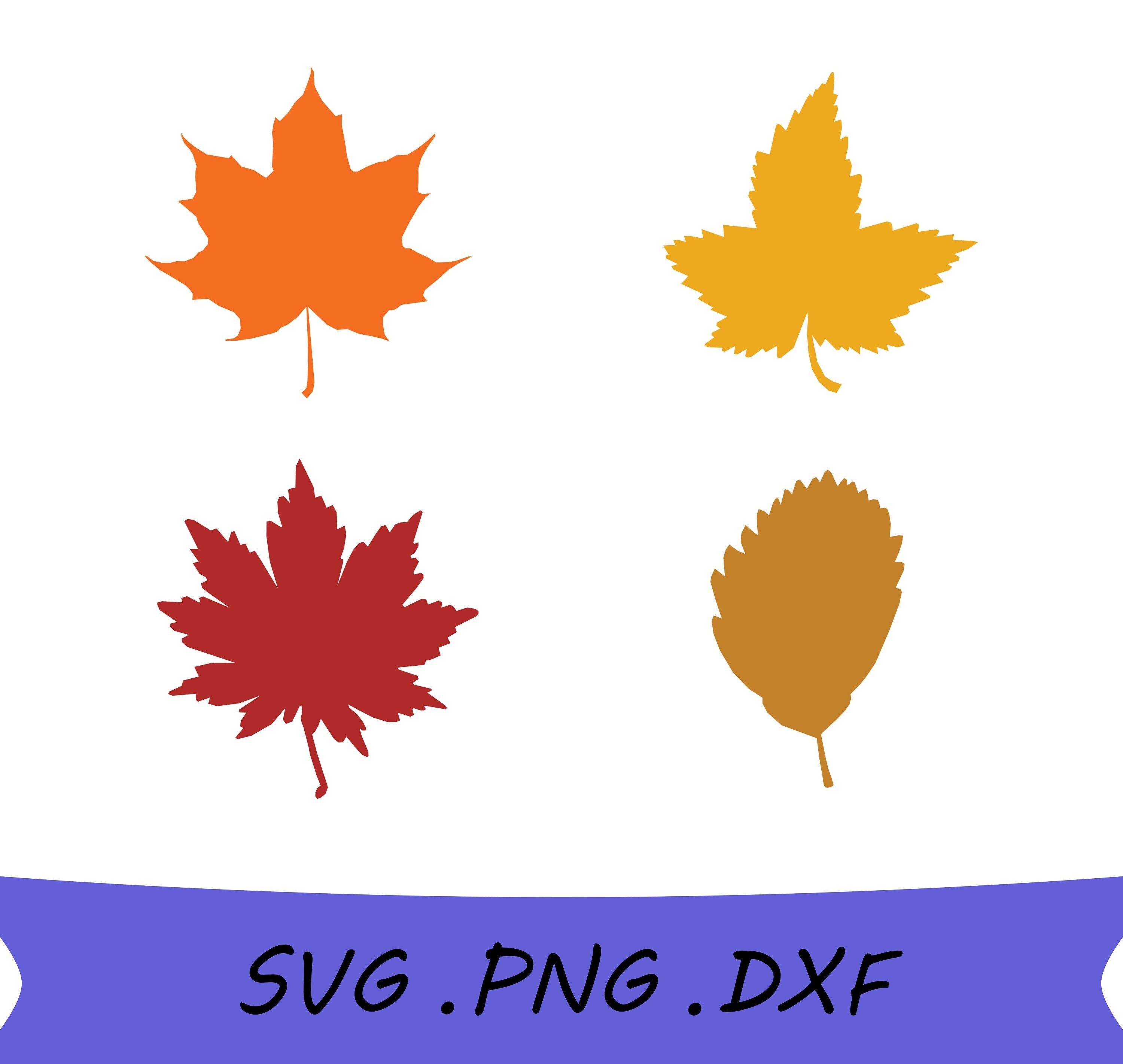 Fall Leaves SVG, Fall Leaves PNG, Fall Leaves DXF, Fall Svg, Fall Leaf ...