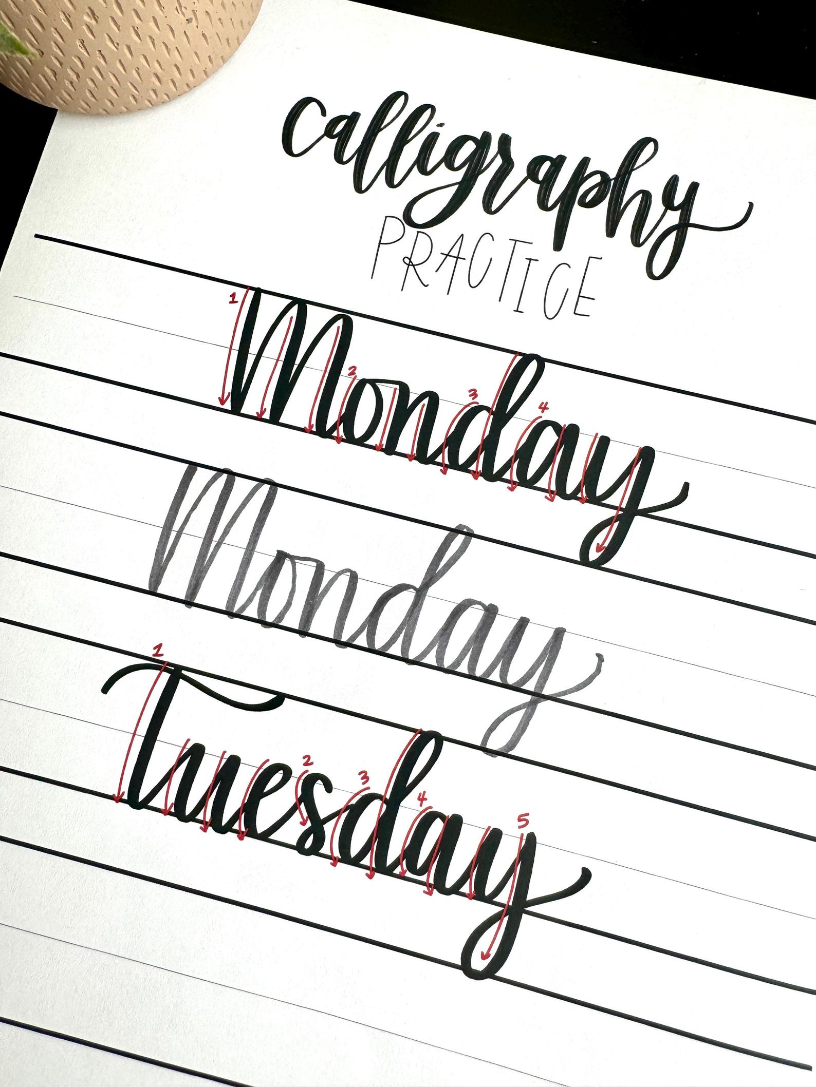 Modern Calligraphy Practice Sheets for Hand Lettering Weekday Practice ...