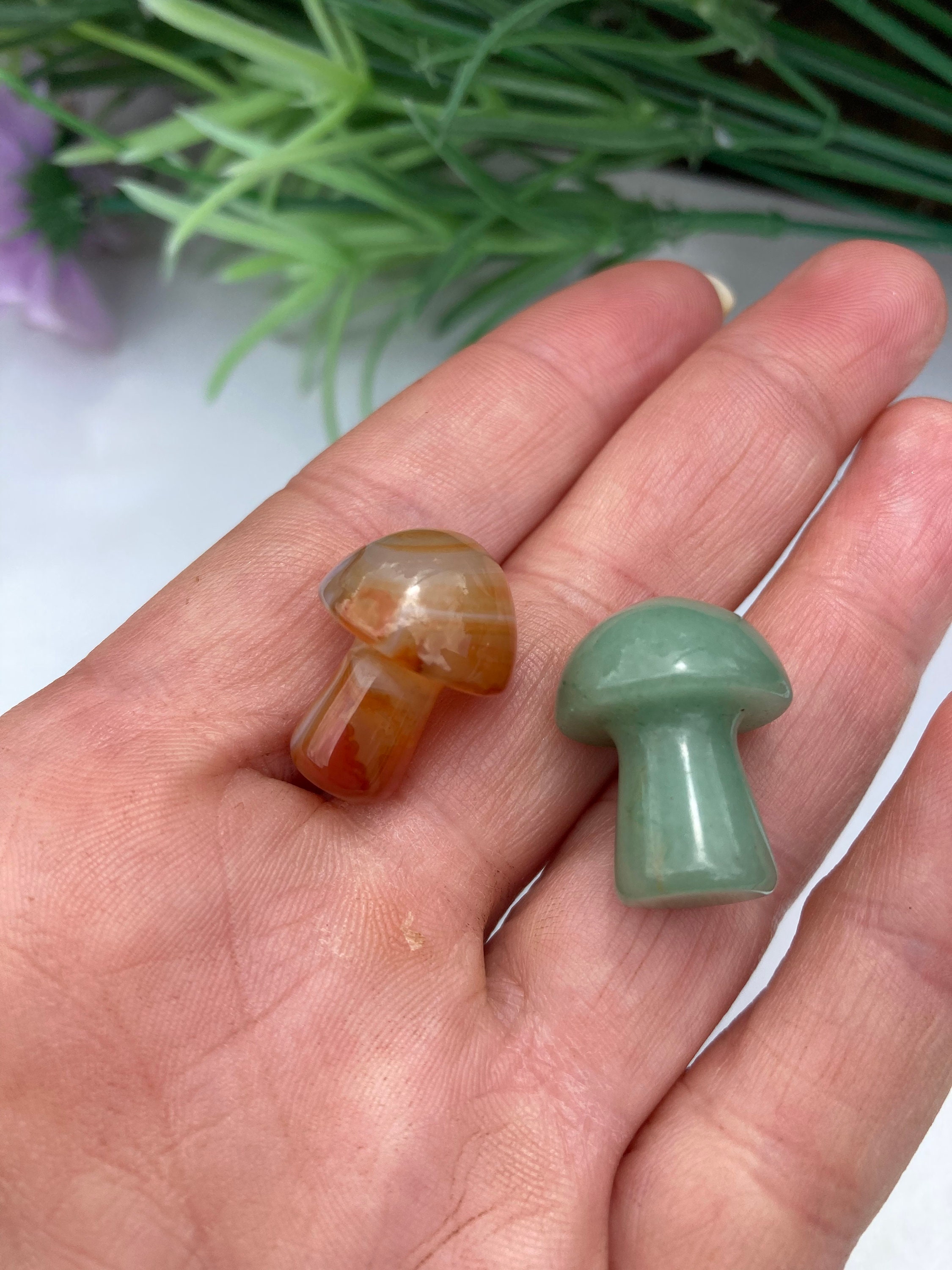 Mystery Crystal Mushroom Vending Machine Set of Two Mushrooms - Etsy