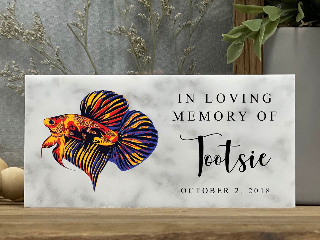 PET FISH MEMORIAL, Cute Memorial Stone, Home Decoration Pet Fish ...