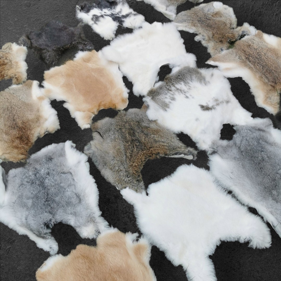 Rabbit Skins in Natural Colors Rabbit Skins Rabbit Fur B-stock at a Top ...