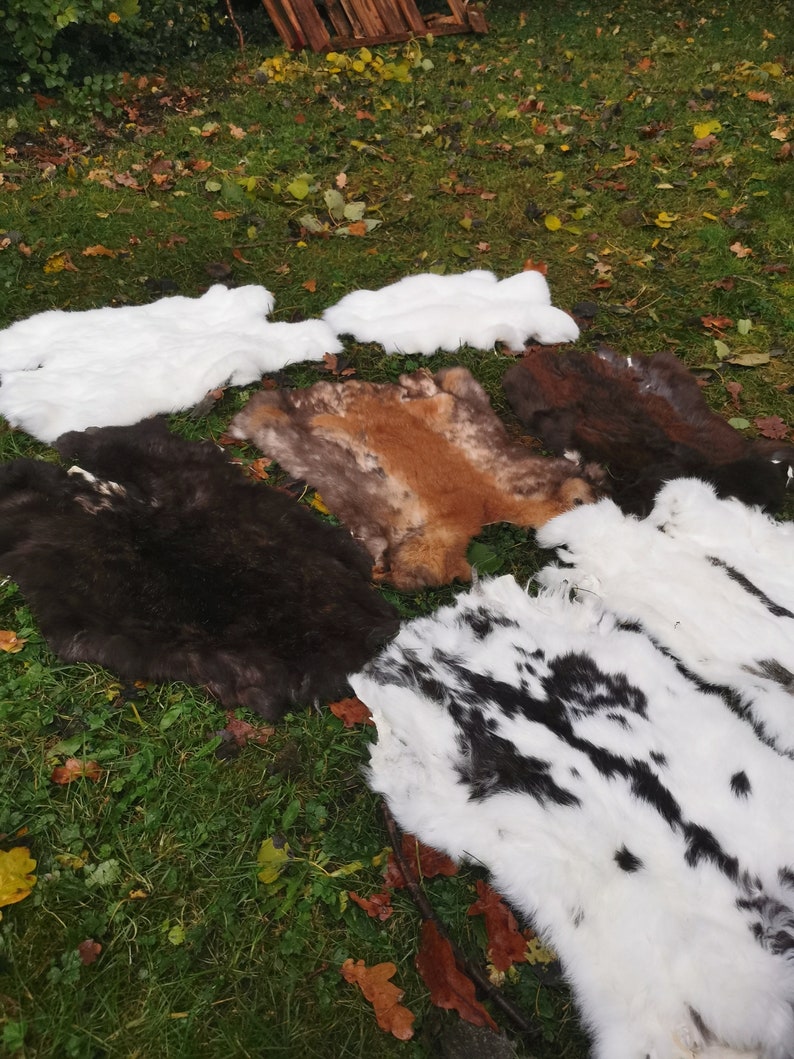 10x XXL Rabbit Furs, Hare Furs, Rabbit Skin, Rabbit, Hare Fur, B-grade ...