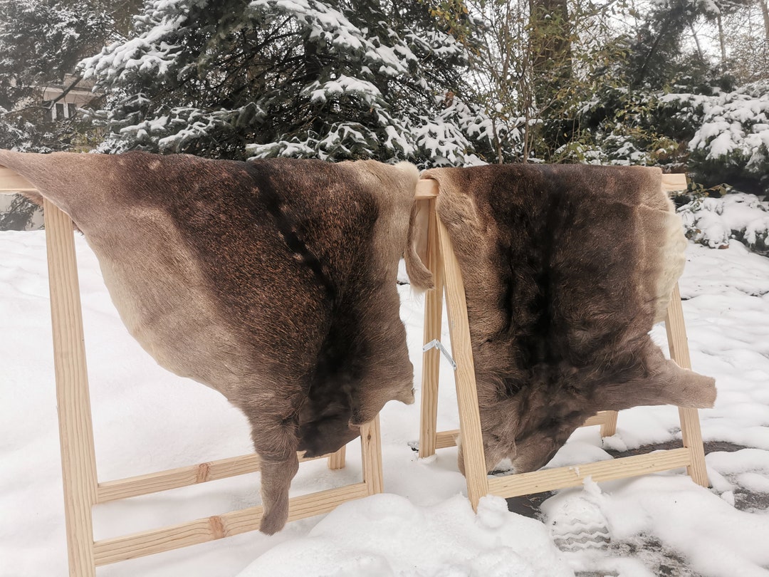 Fallow Deer Skin, Fallow Deer Fur, First Choice, Second Choice, Beauty ...