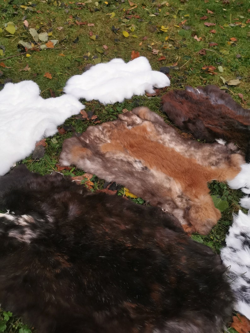 10x XXL Rabbit Furs, Hare Furs, Rabbit Skin, Rabbit, Hare Fur, B-grade ...