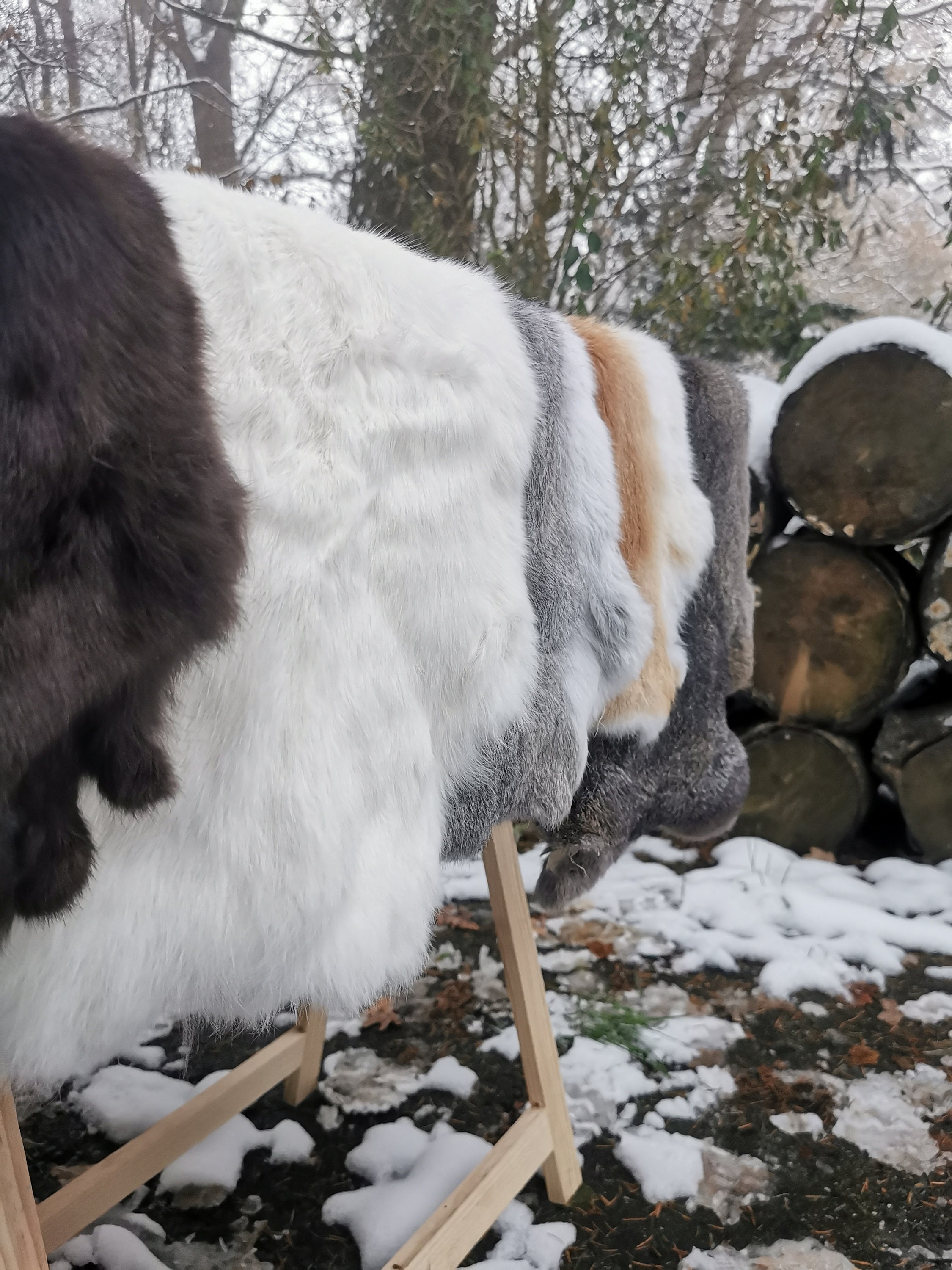 Real Soft Rabbit Fur, Natural Fur Colors, Natural Fur, Animal Fur, Fur ...