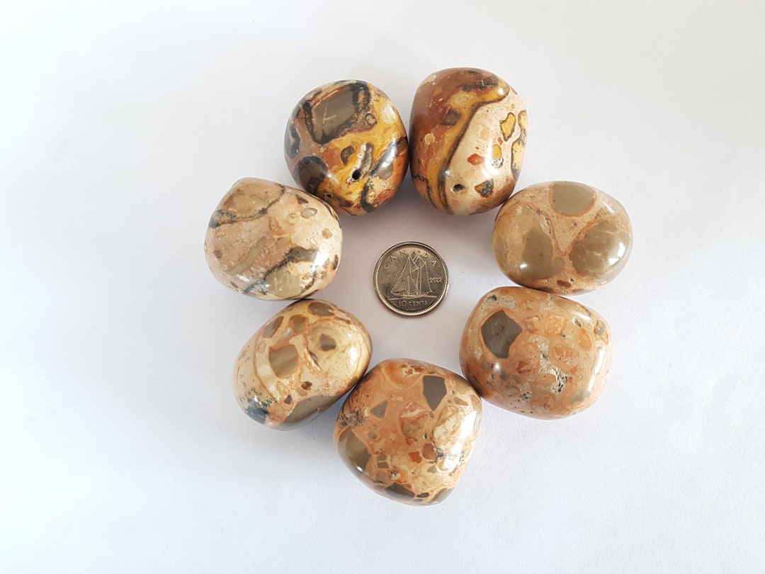 Leopardite Tumbled Crystal 1pc. - Etsy