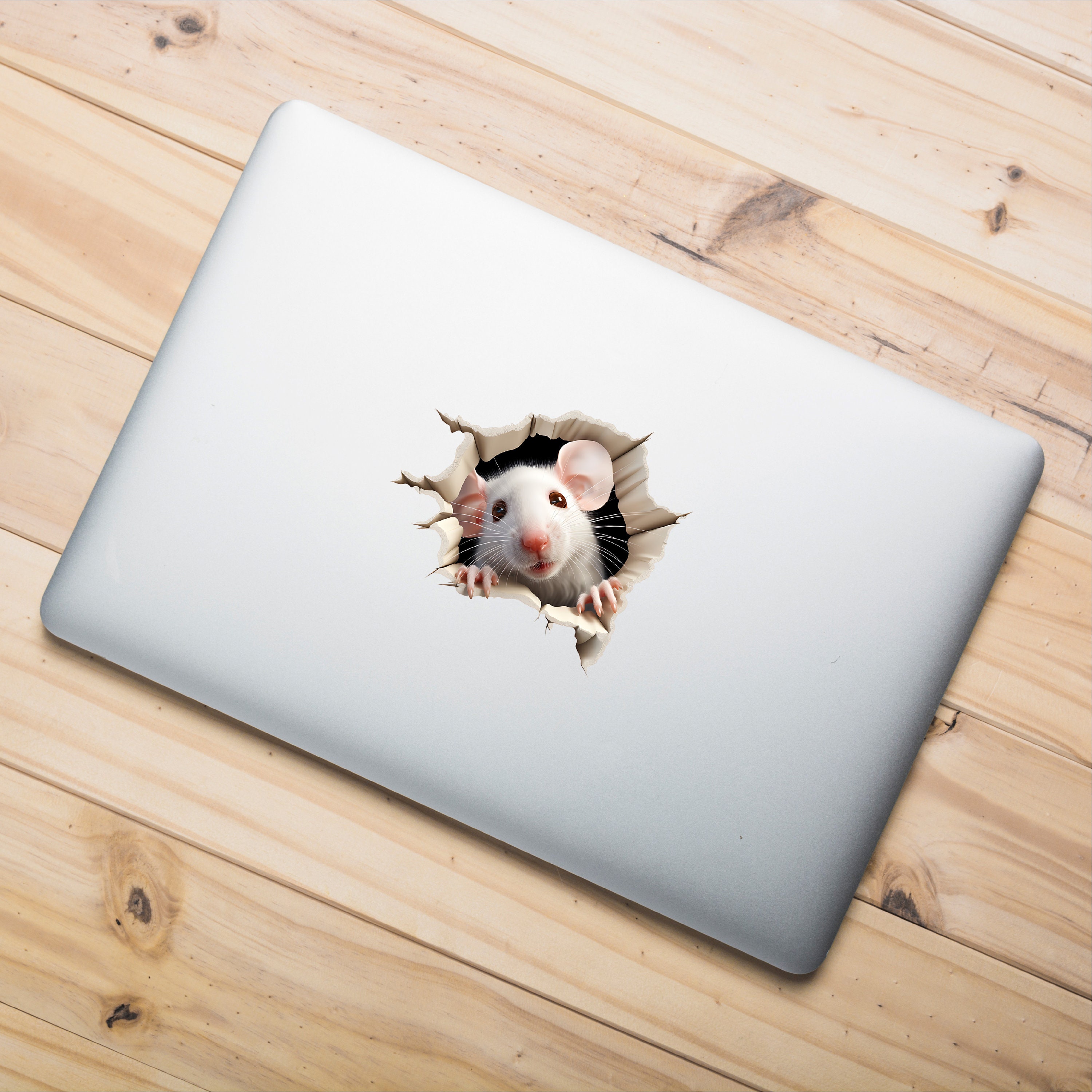 Cute Peeking Mouse in Mouse Hole Decal, 3d Mouse Sticker, Realistic ...