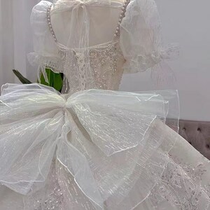 Starry Sky Puffy Wedding Dresses, Luxury Lace Trailing Tail Dress ...