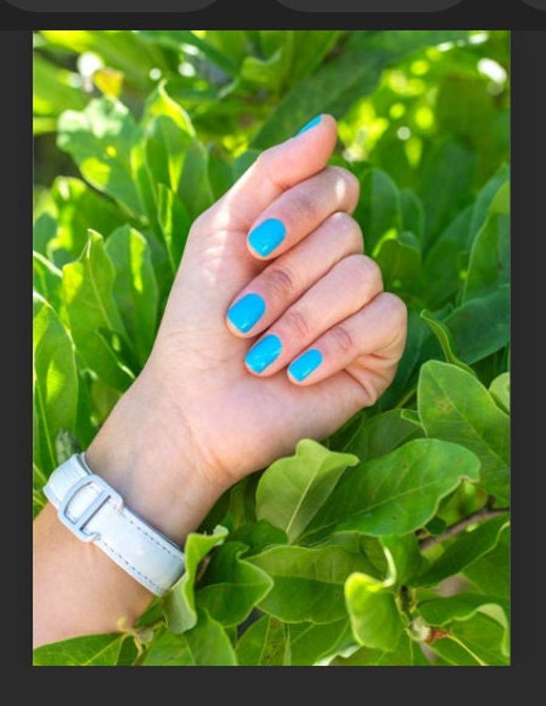 Color Street Nail Strips 100% Real Nail Polish BLUE-DAPEST - Etsy