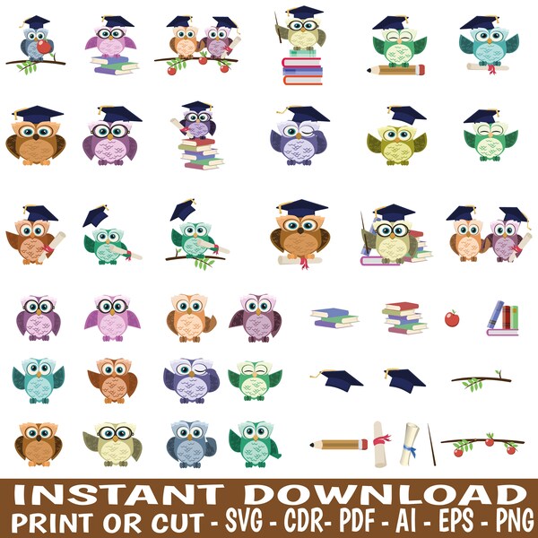 Graduation Owls - Etsy