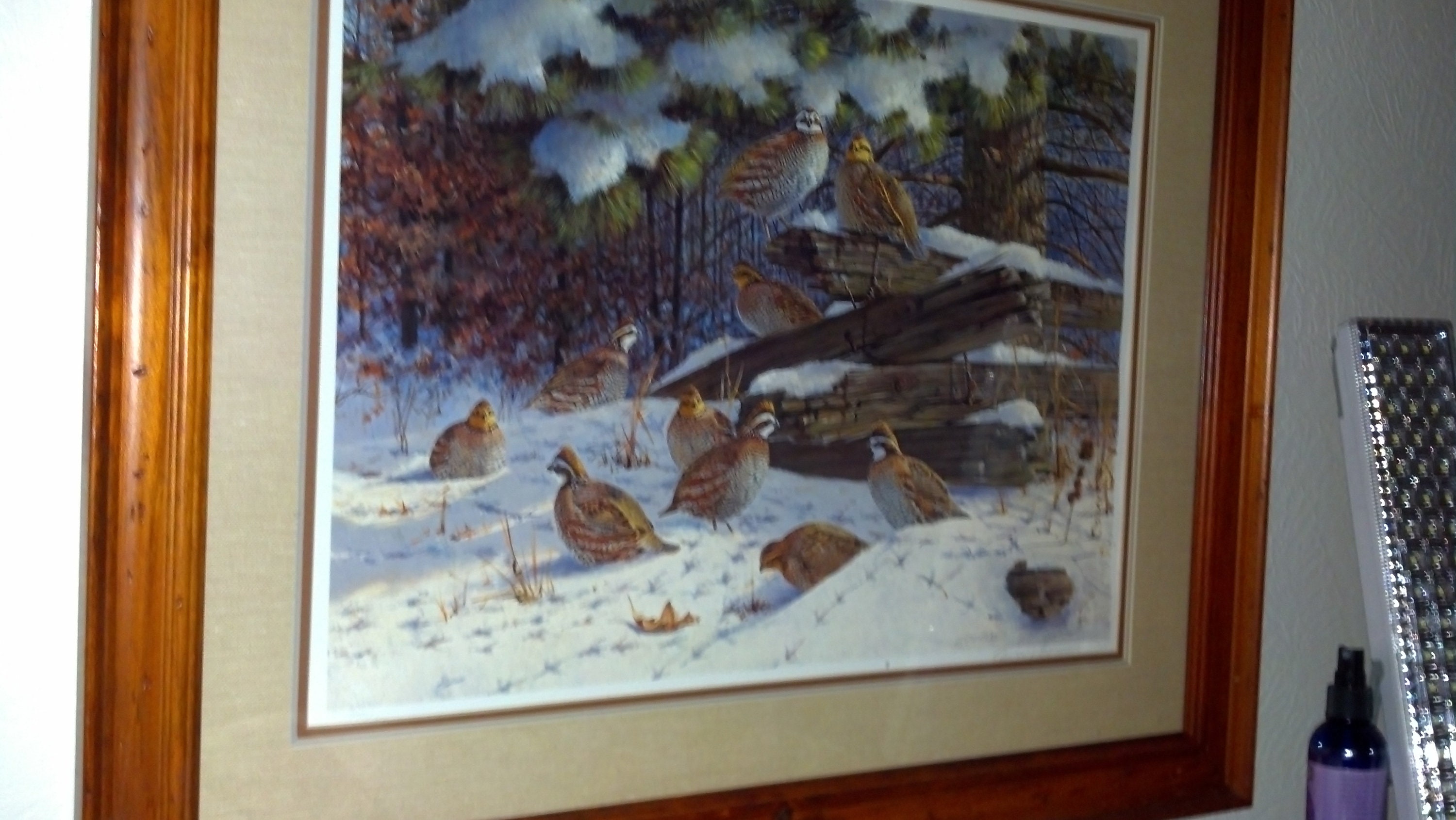 Owen Gromme Limited Edition Bobwhites and Leather Bound Book | Etsy