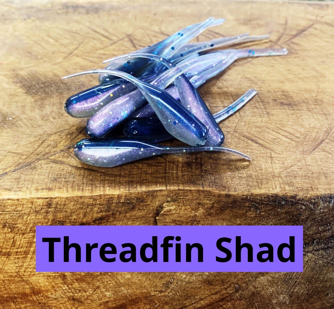 2” Stingertail Threadfin Shad QTY 20 - Etsy
