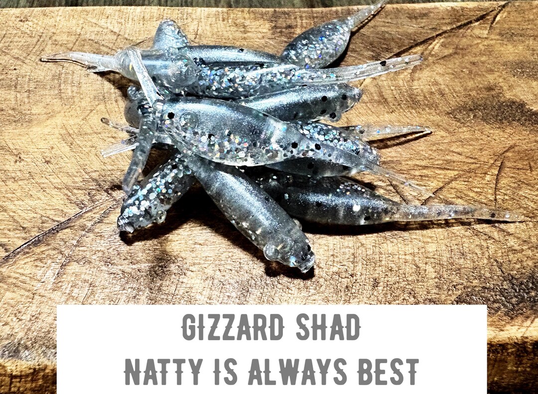 2” GIZZARD SHAD Fat Body QTY 20 - Etsy