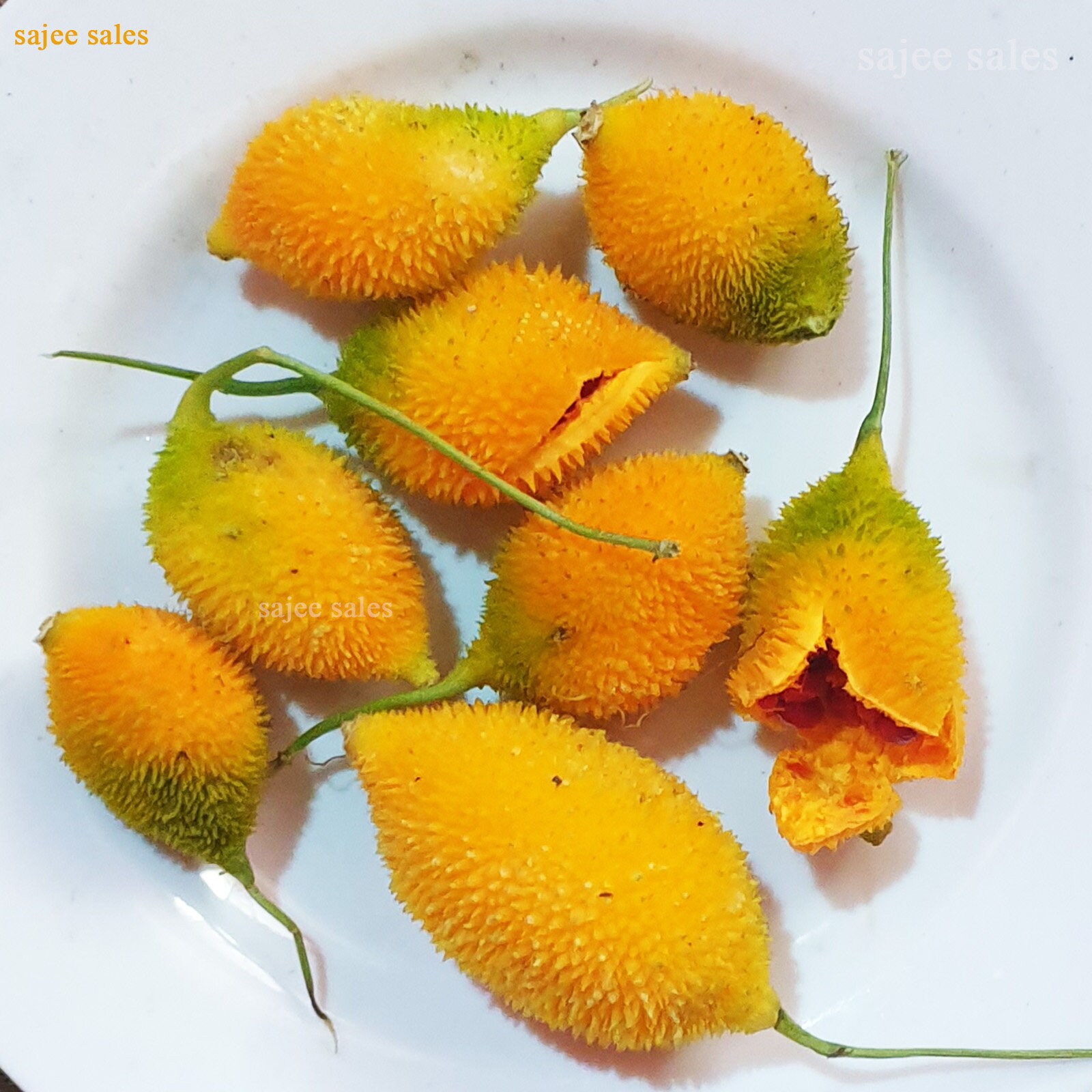 Home & Living bristly balsam pear Vegetable seeds kakrol 10 Spiny Gourd ...