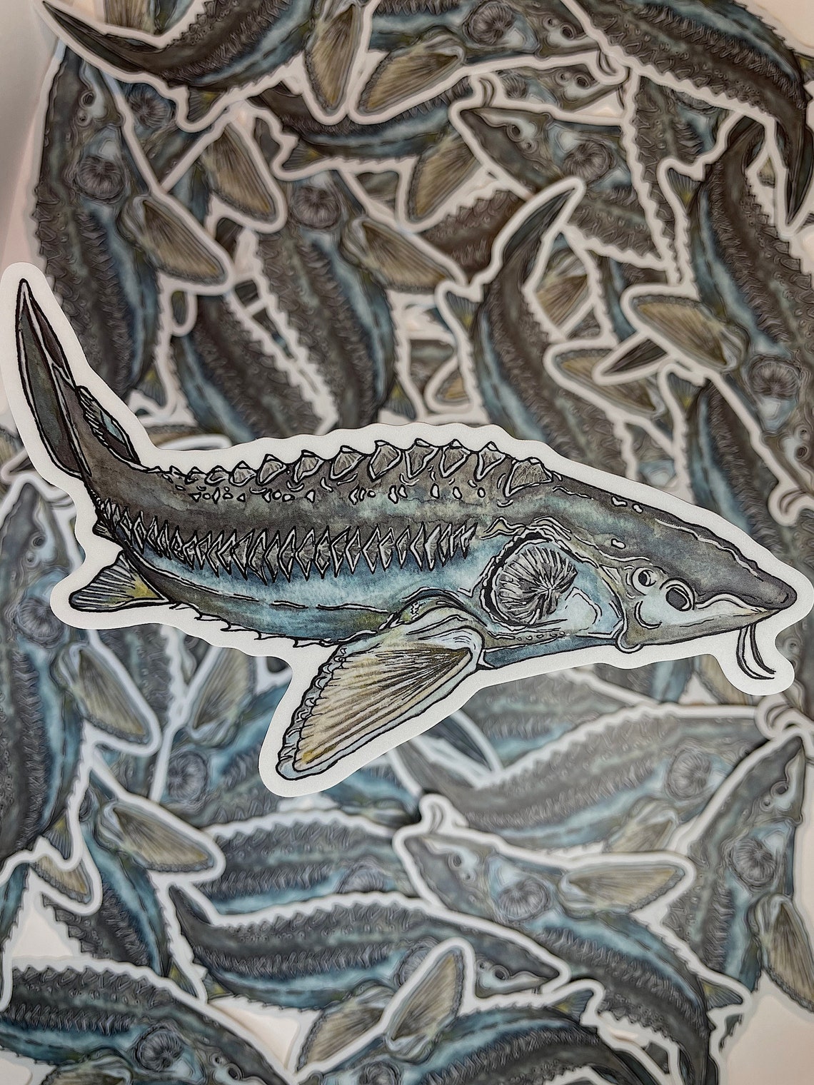 Sturgeon Vinyl Decal - | Fish | Outdoor | Fishing | Wildlife and Animal ...