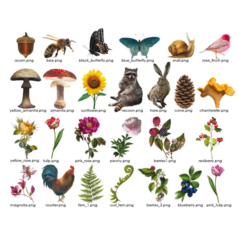 The Secret Garden Clip Art Bundle, Forest Animals Clip Art Set, Flower ...