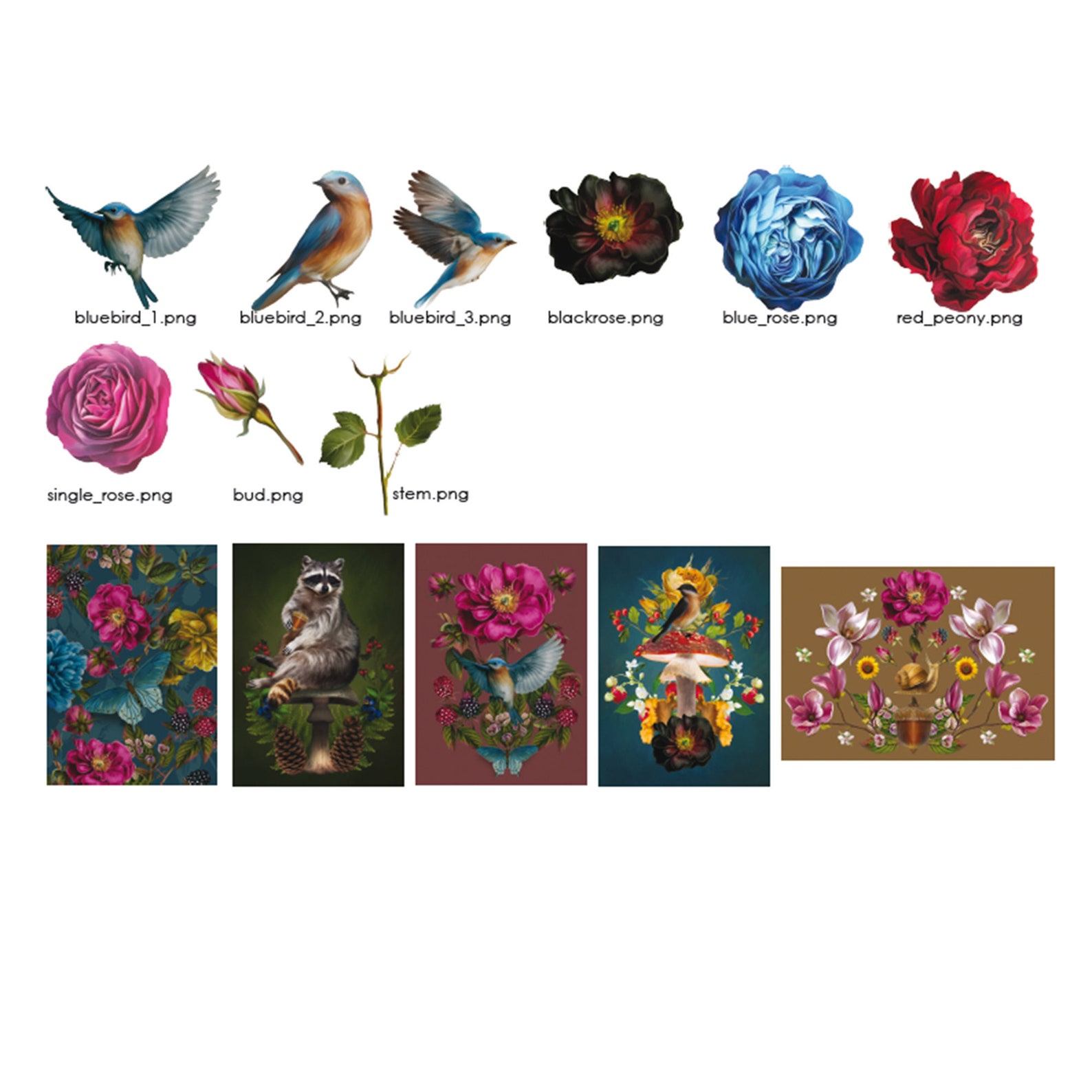 The Secret Garden Clip Art Bundle, Forest Animals Clip Art Set, Flower ...