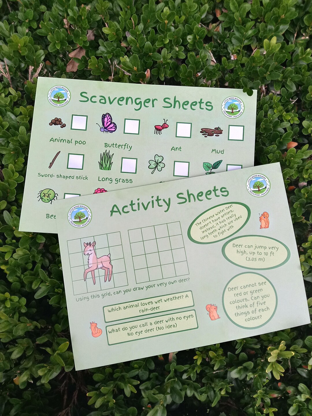 Outdoor Scavenger Hunt Nature Activity Sheet 5 Pack - Etsy