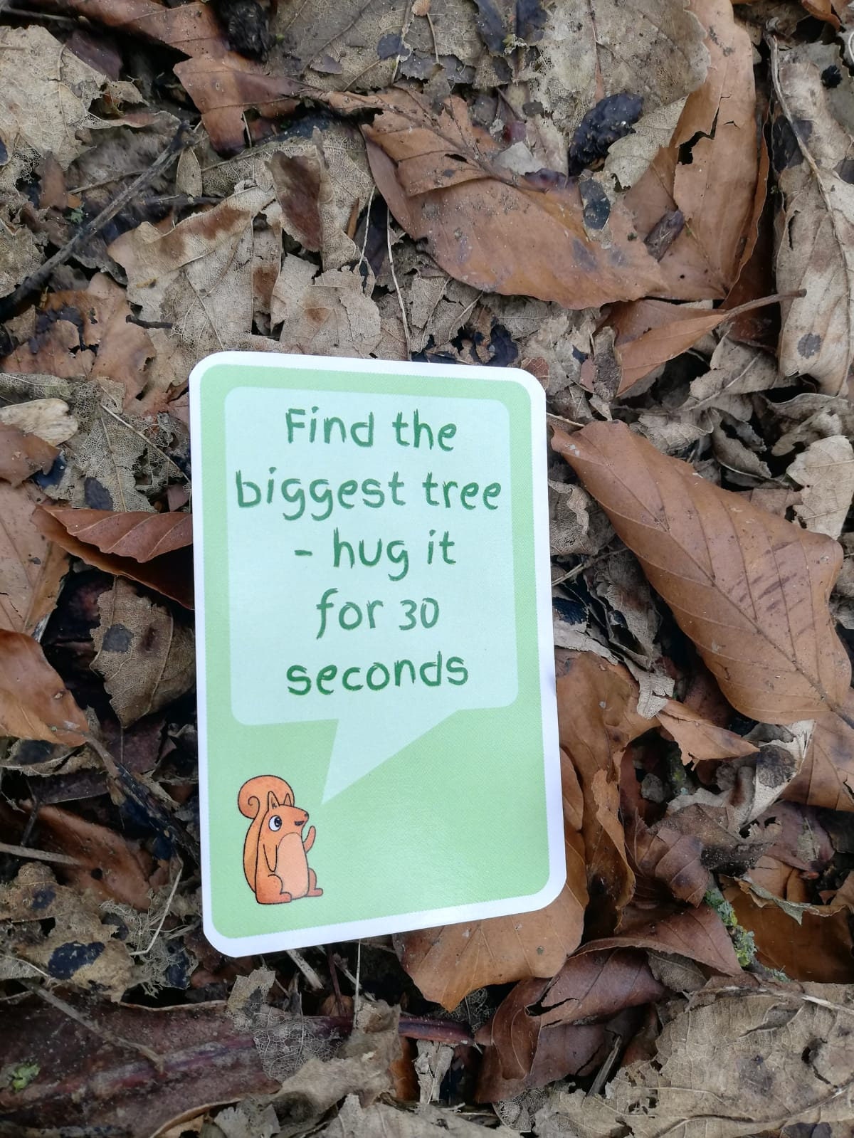 Family Walk Activity Ideas for Keeping Kids Entertained on Walk ...
