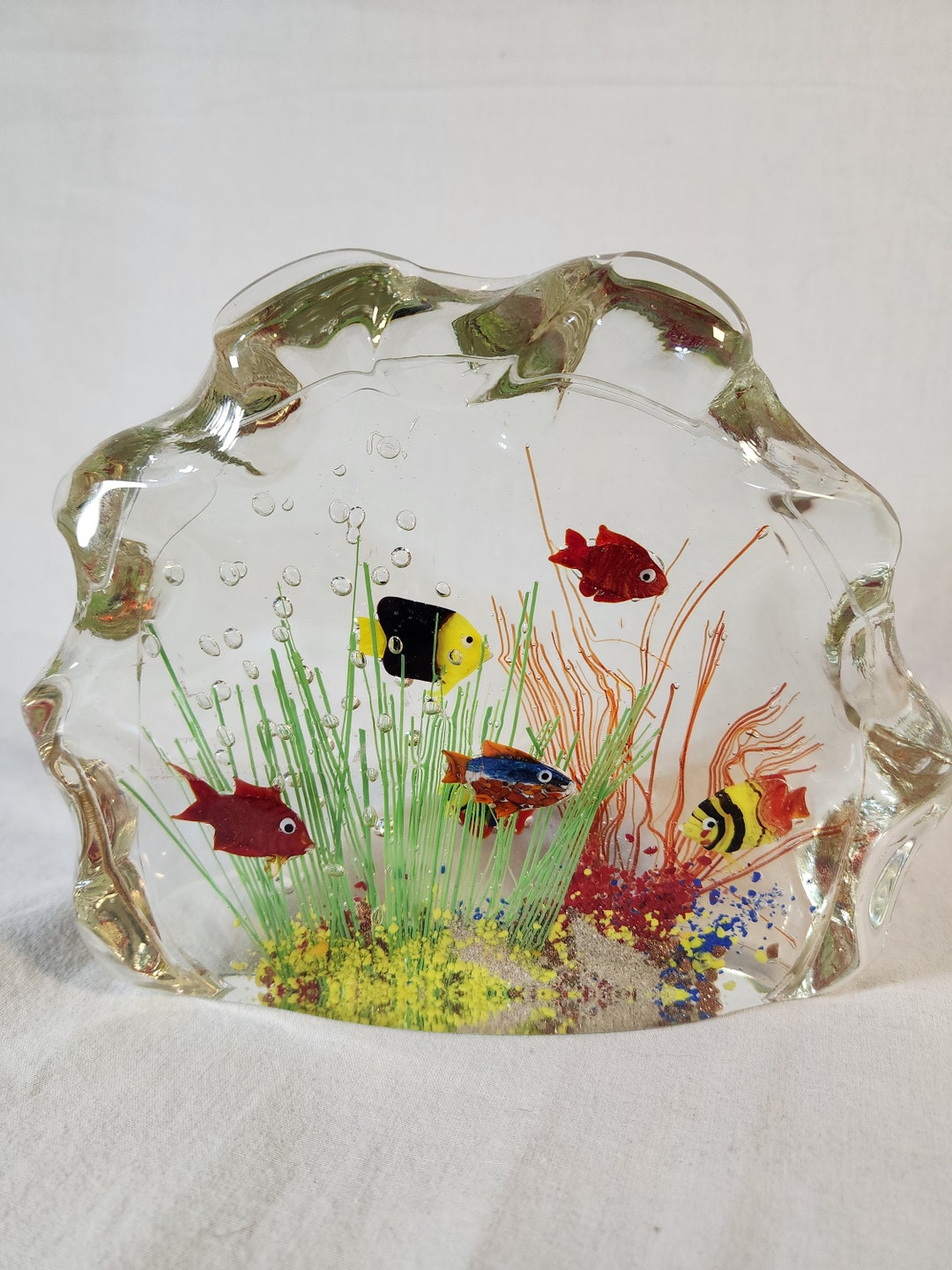 Murano Glass Aquarium, Clam Shell large 8.5 X 6.5 X 2, 6.4lbs - Etsy