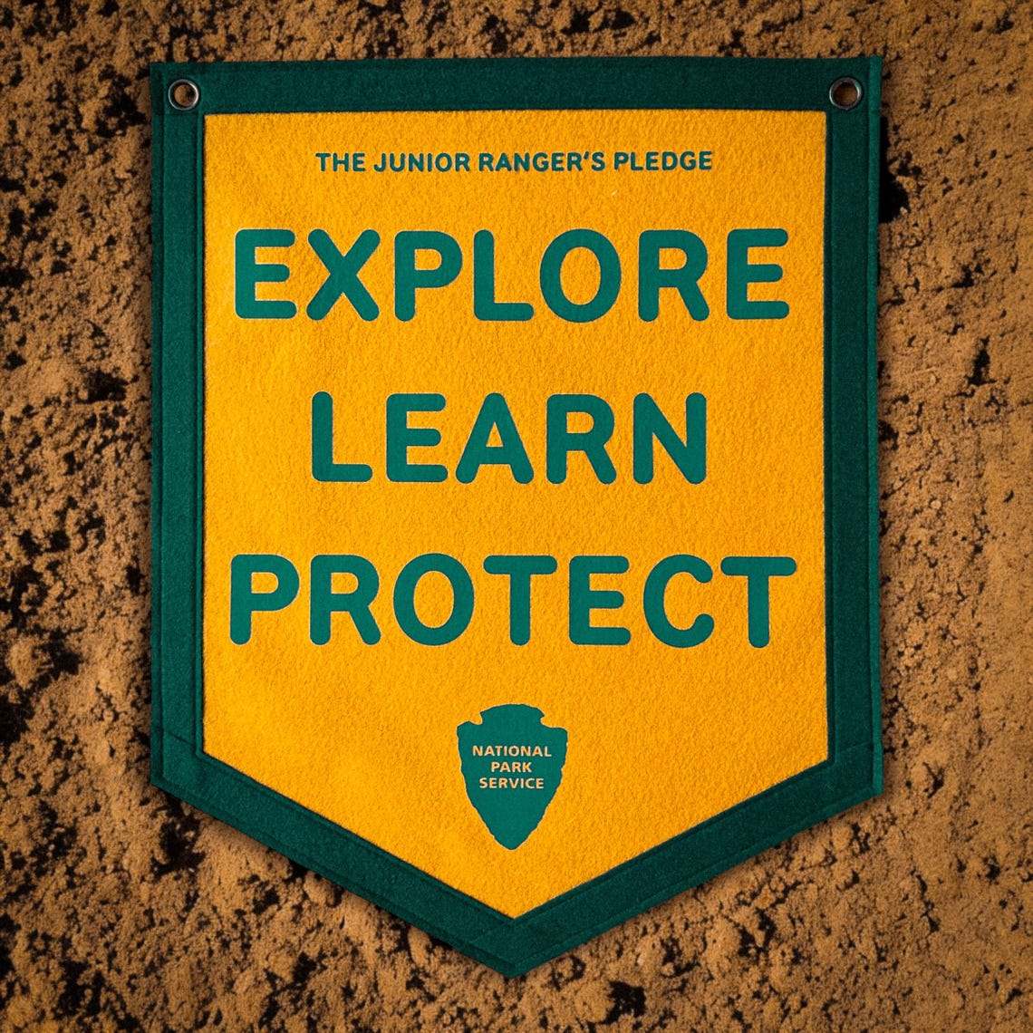 Junior Ranger Pledge 5-sided Banner | Explore Learn Protect | Felt ...
