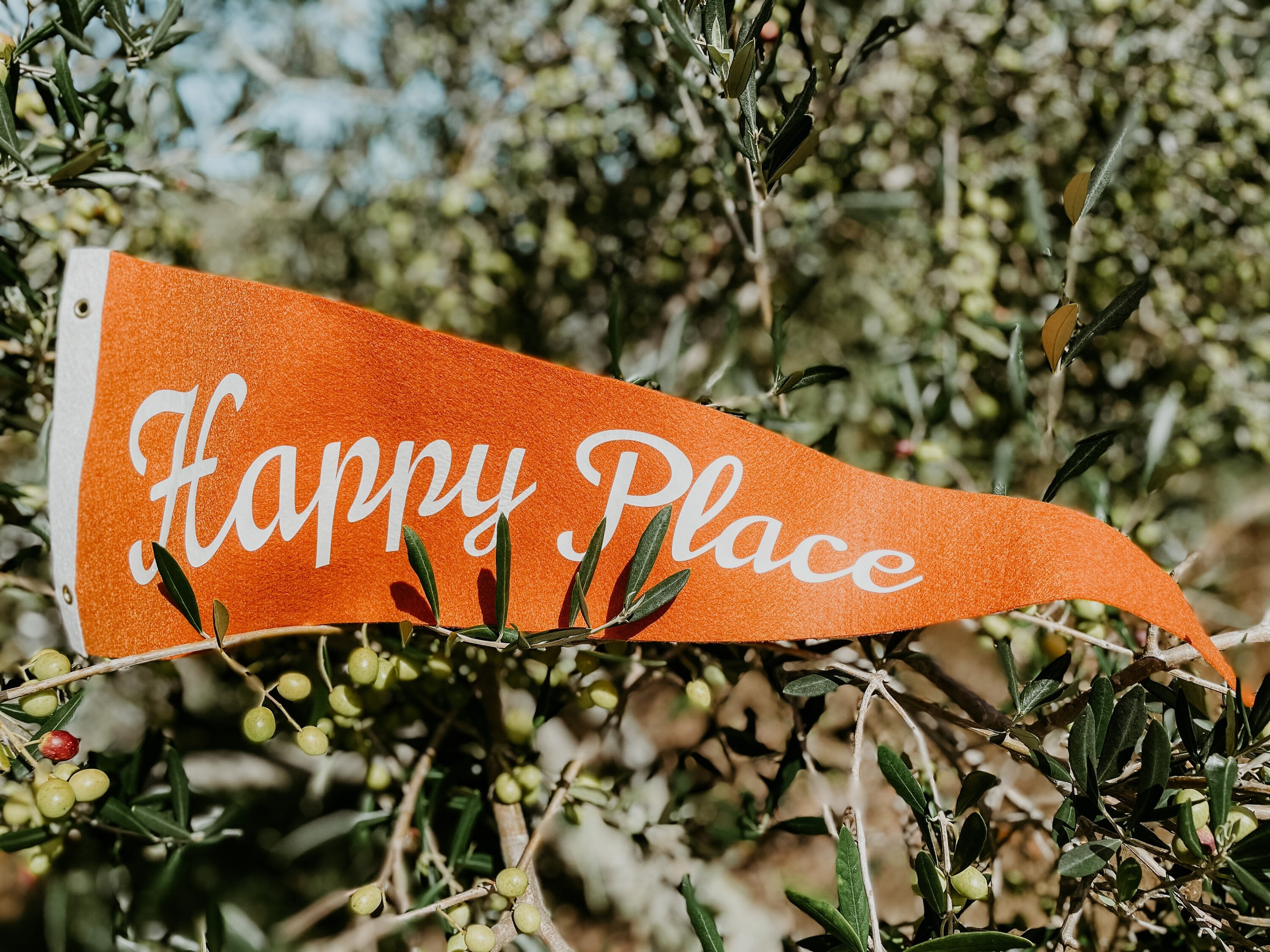 Happy Place Pennant Felt Pennant Flag Banner Vintage Style - Etsy