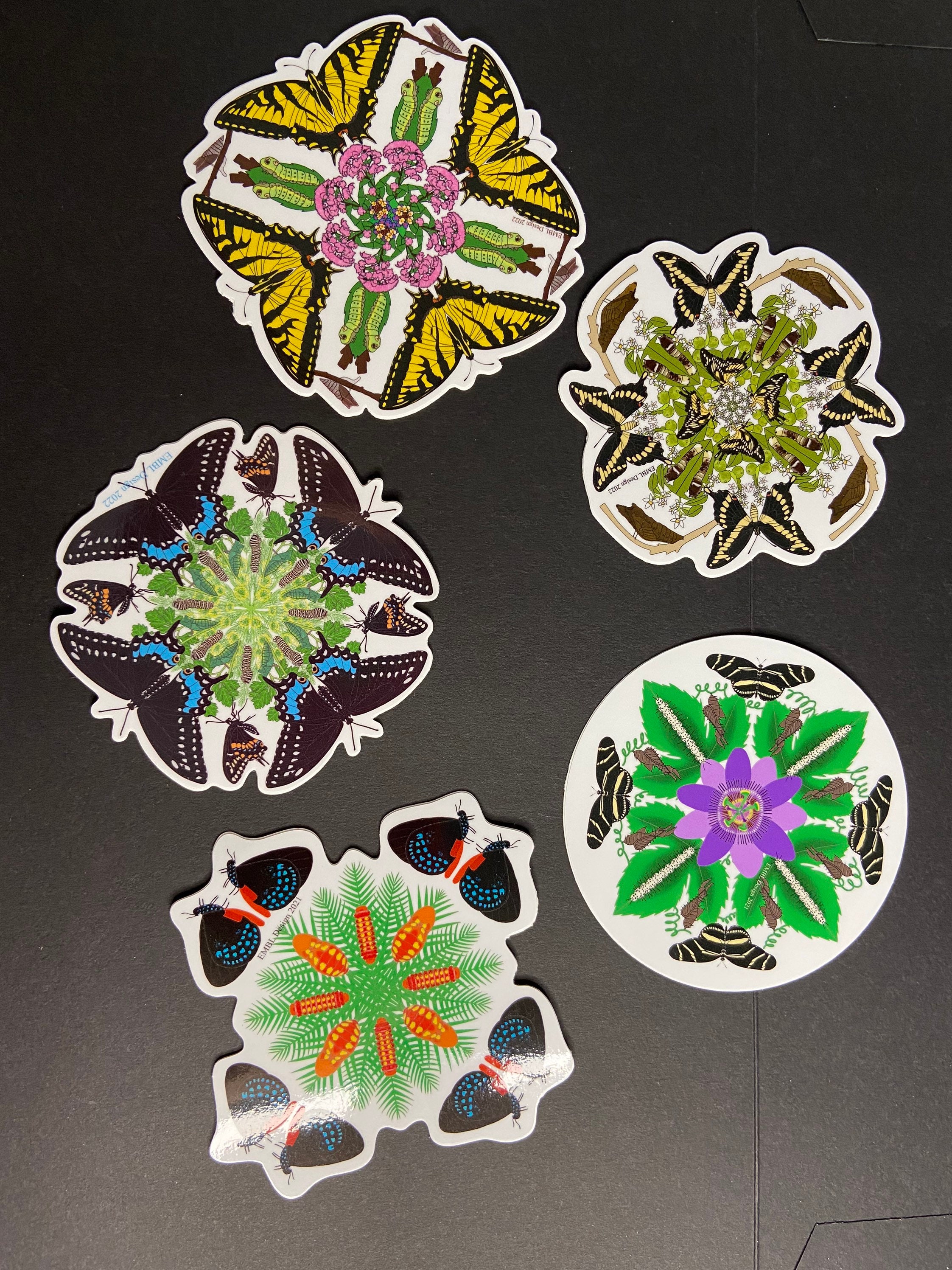 Butterfly Life Cycle Sticker Pack - Etsy UK