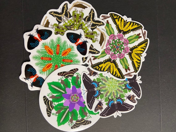 Butterfly Life Cycle Sticker Pack - Etsy