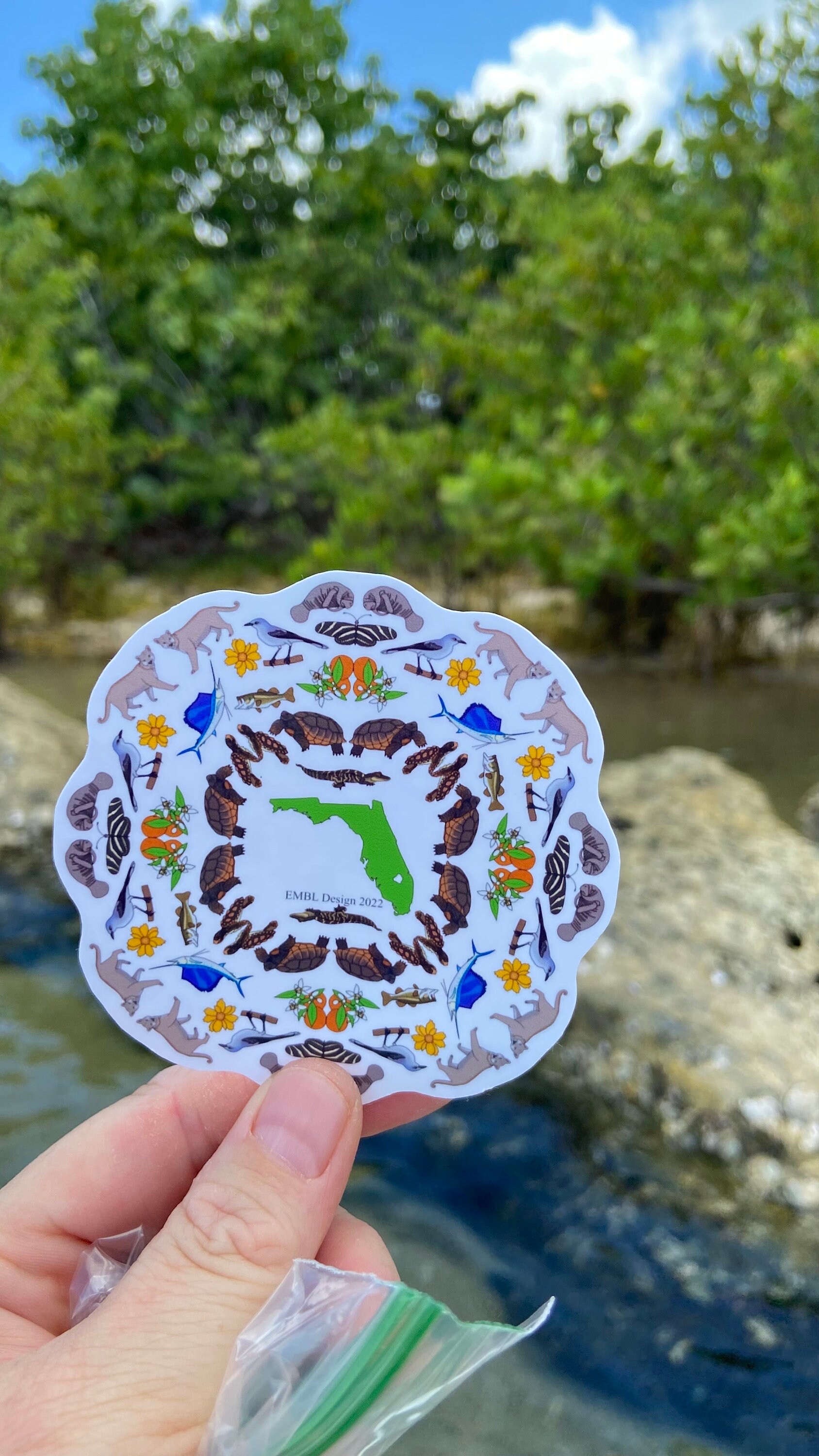 Florida State Symbols Sticker - Etsy