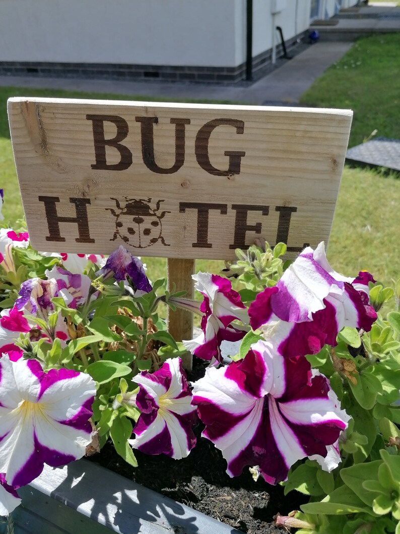 Bug Hotel Sign Personalised Garden Sign for Kids Ladybird - Etsy