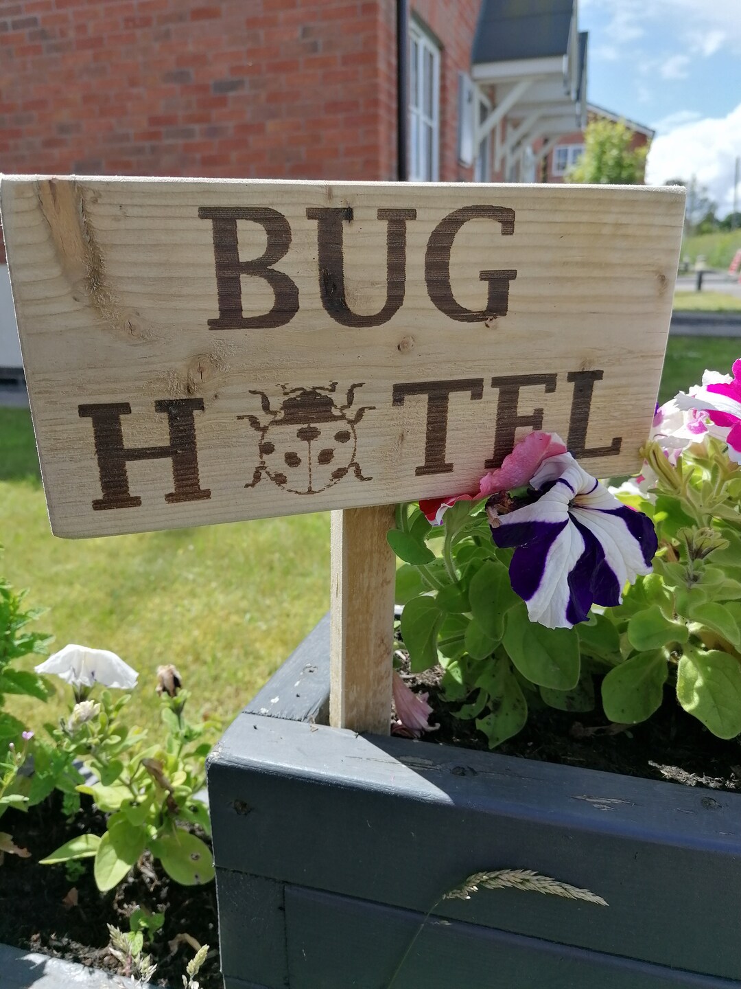 Bug Hotel Sign, Personalised Garden Sign for Kids, Ladybird Plaque for ...