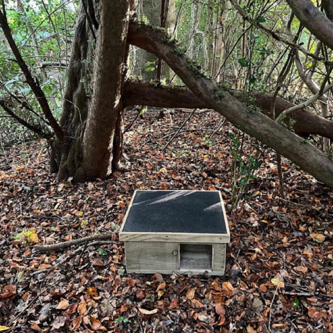 Wooden Hog House Hedgehog Wood Hedge Hog Hibernation Home Shelter Lodge ...