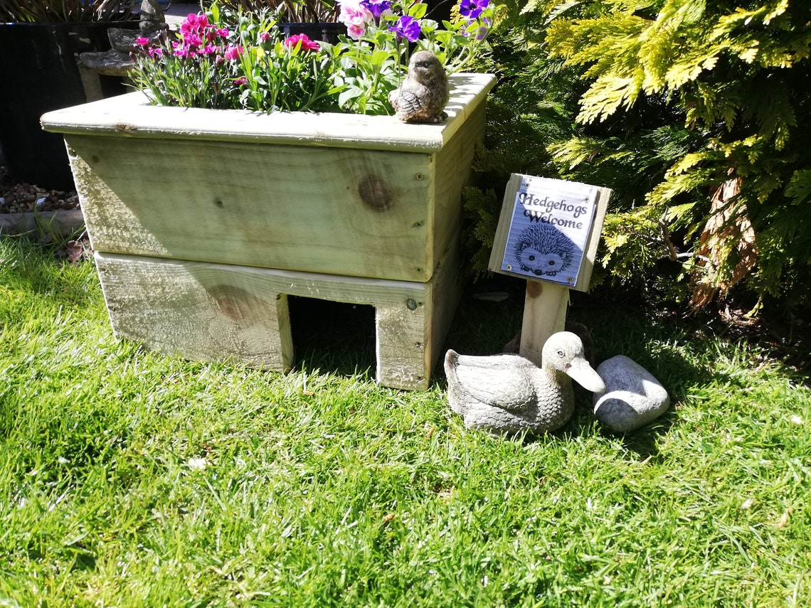 PERSONALISED Hedgehog House with Planter 2 in 1 Wooden Hedge | Etsy