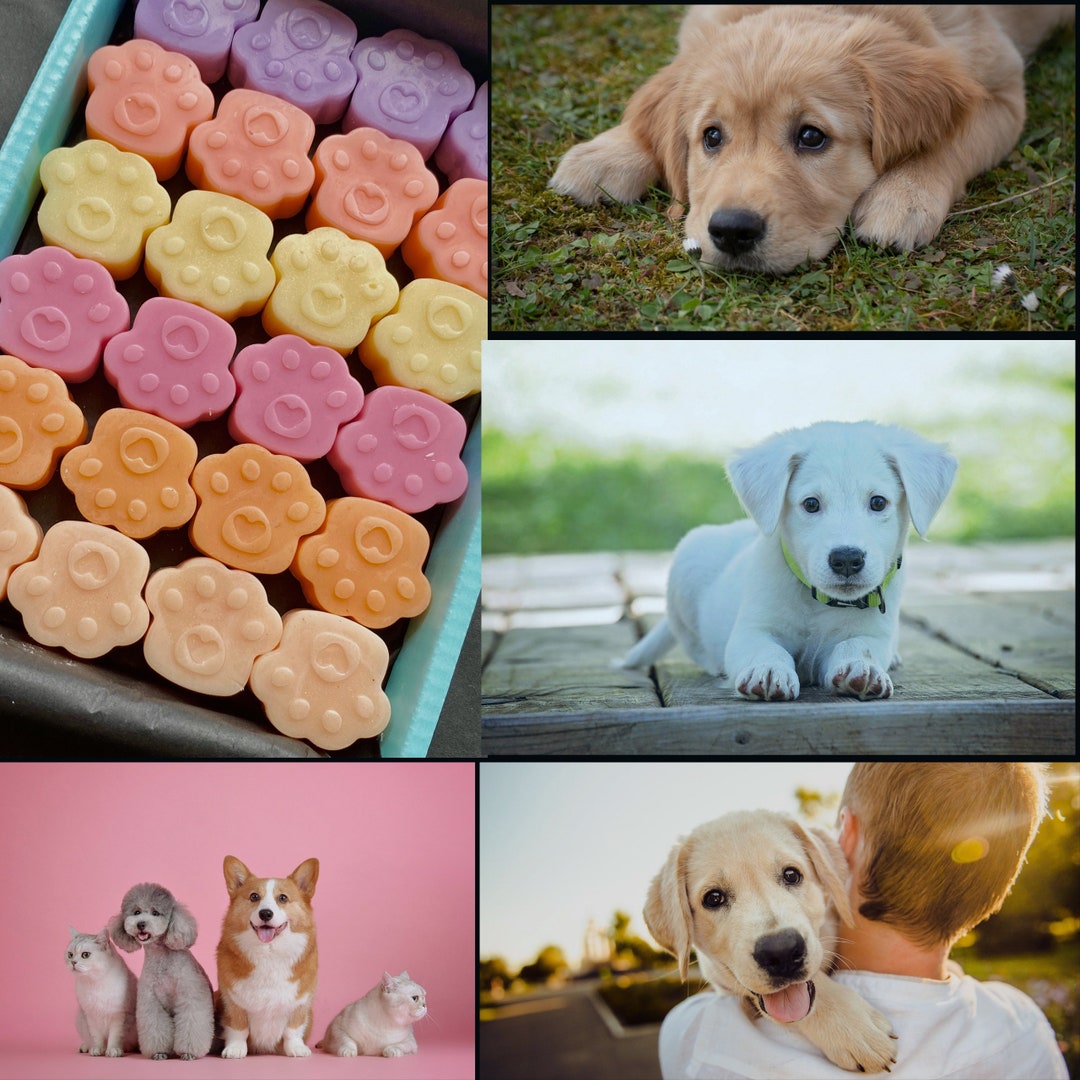 Delightful Doggy Paws Shaped Aftershave Inspired Wax Melts - Etsy