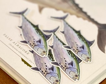 Tuna Tail Sticker Tuna Sticker Tuna Decal Bluefin Tuna Sticker Bluefin ...