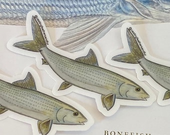 Bonefish Decals Fisch Sticker Vinyl Wasserdicht 2er Pack - Etsy.de