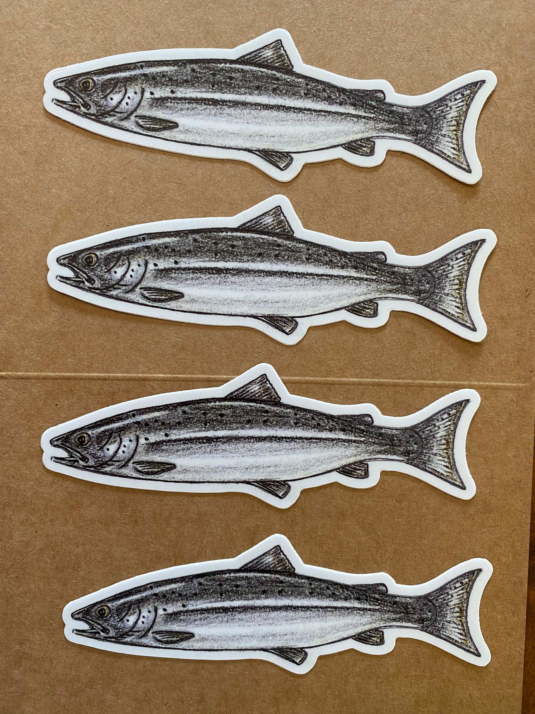 Salmon Sticker | Etsy