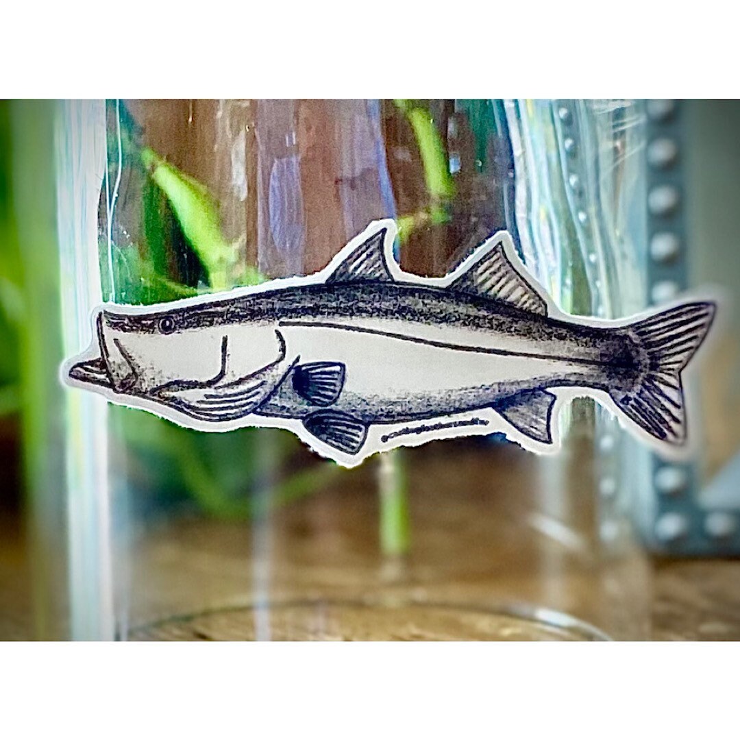 Snook Sticker - Etsy