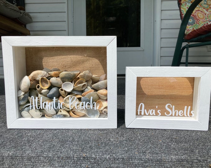 Seashell Shadow Box, Seashell Display, Wood Shelf Seashell Display ...