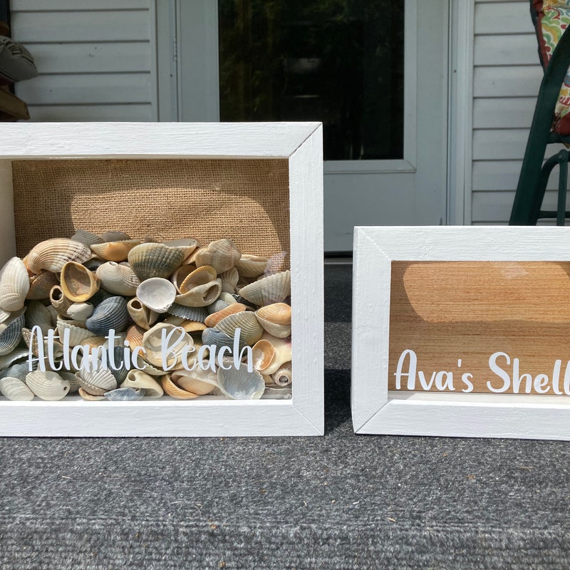 Seashell Display Box - Etsy