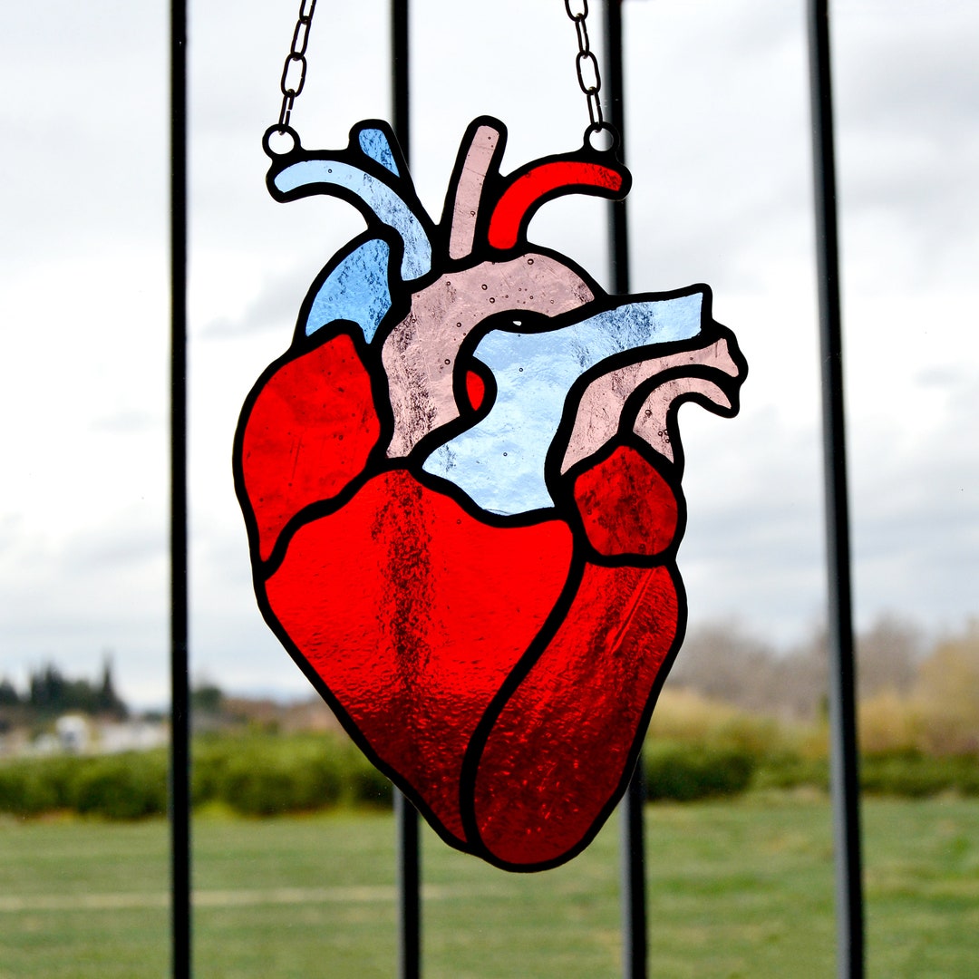 Stained Glass Anatomical Heart - Etsy