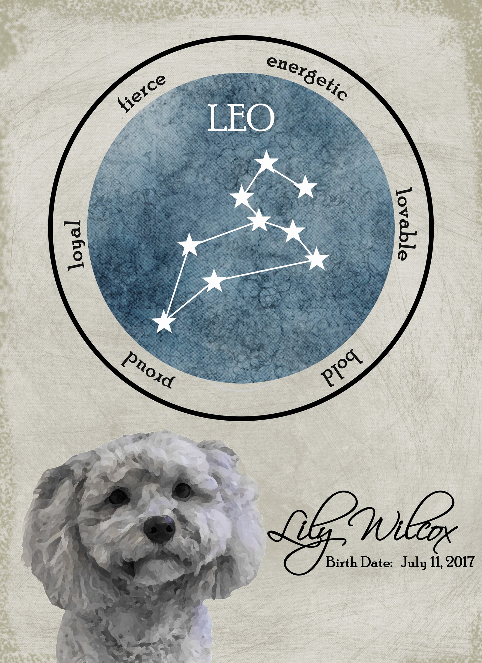 Custom DIGITAL Pet Astrology Printable-Pet Zodiac Sign-Digital | Etsy